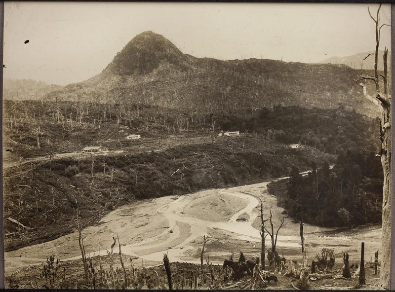 Te Kumi Station - Tairawhiti Museum