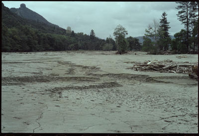 Cyclone Bola: King Spencer Reserve - Tairawhiti Museum