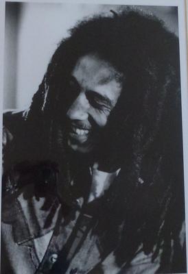 #68 Keskidee - Tairawhiti Museum