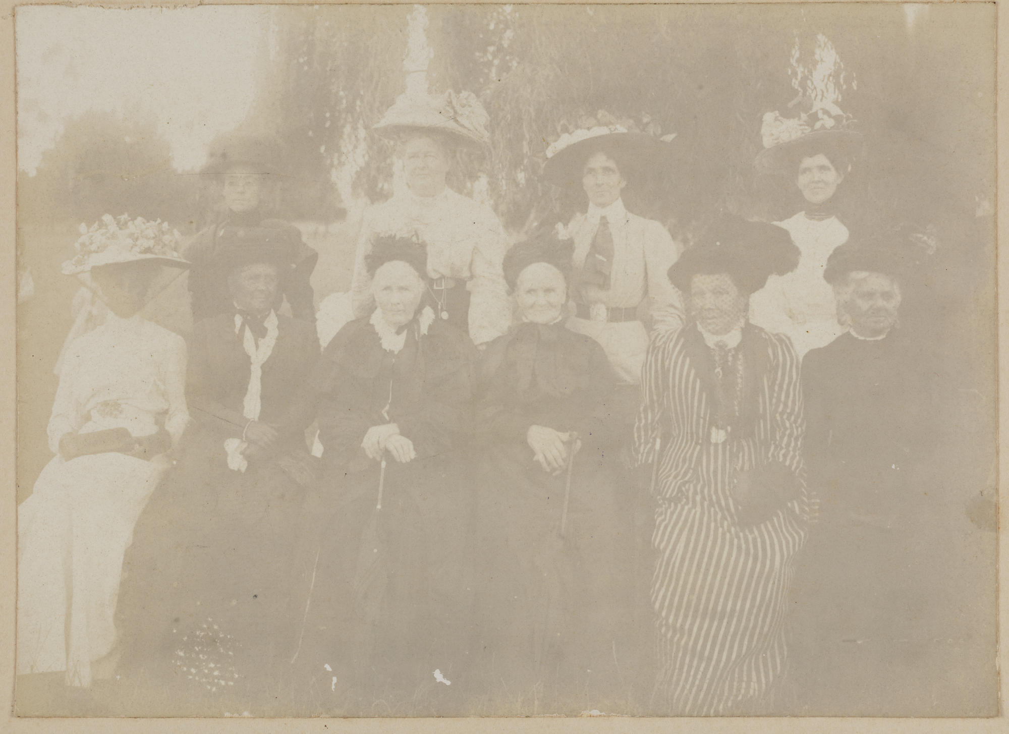 Patutahi Picnic - Tairawhiti Museum