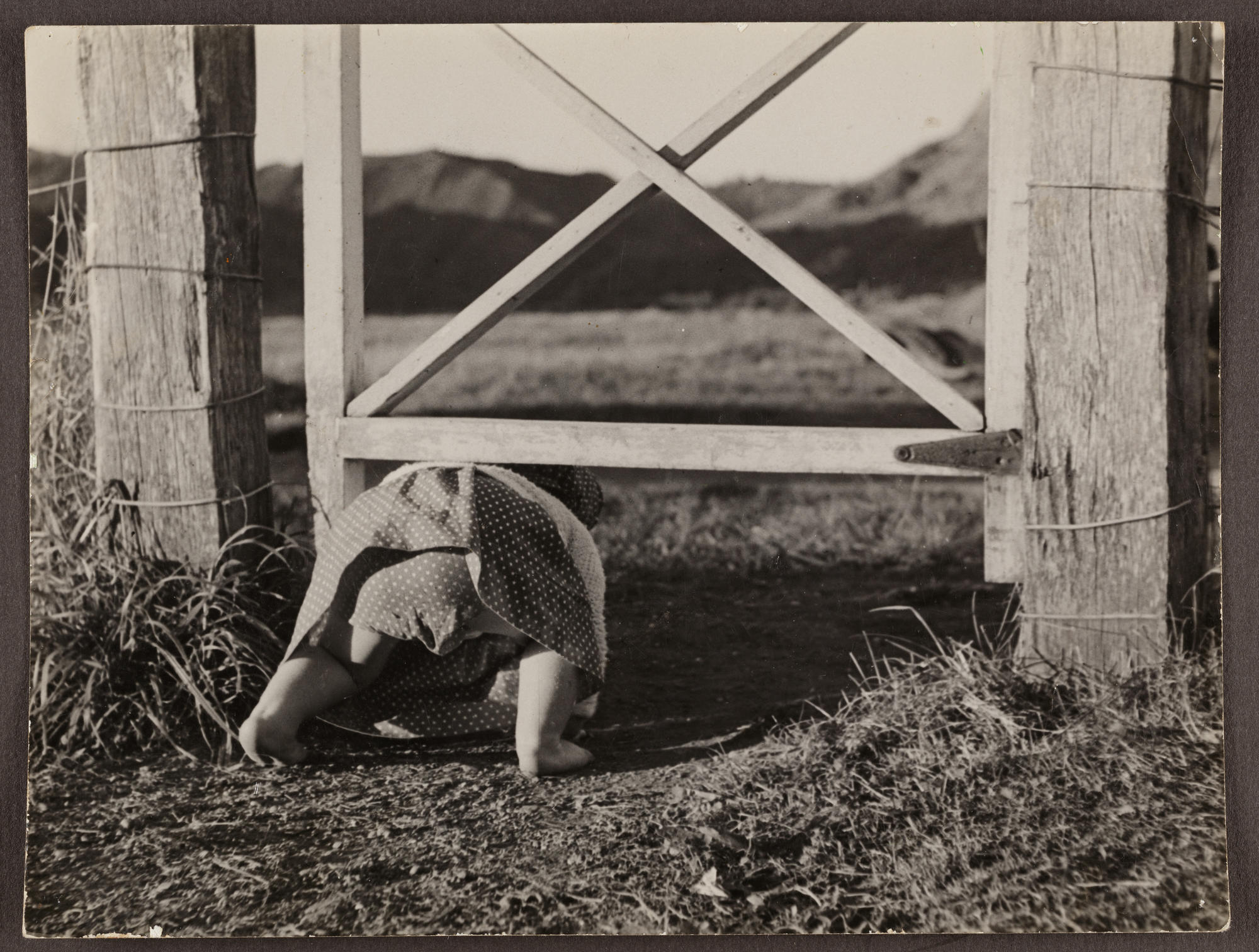 Object - Tairawhiti Museum