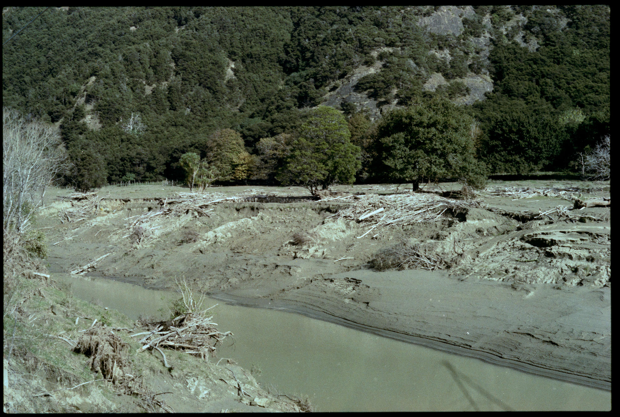 Cyclone Bola: King Spencer Reserve - Tairawhiti Museum
