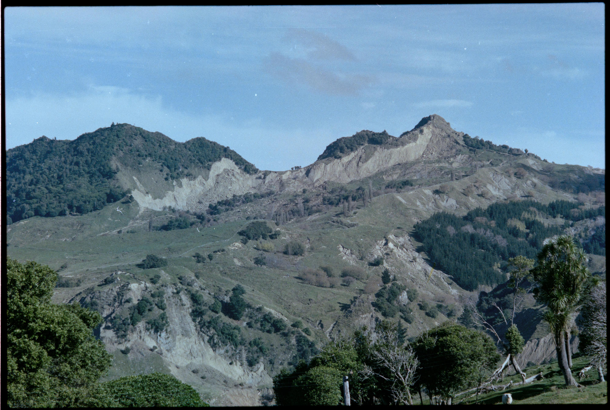 Cyclone Bola: Puketiti - Tairawhiti Museum