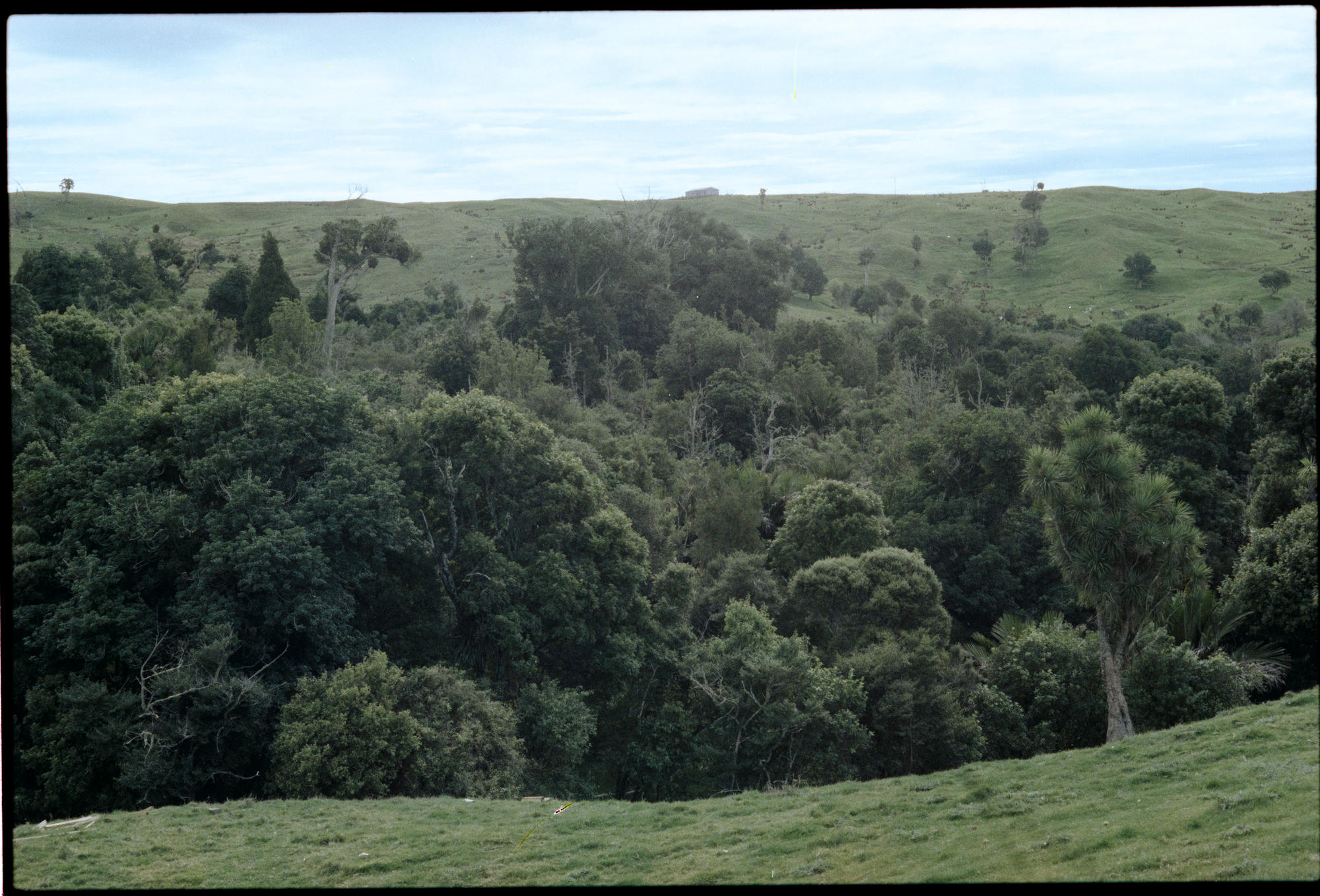 Cyclone Bola damage 1988 - Tairawhiti Museum