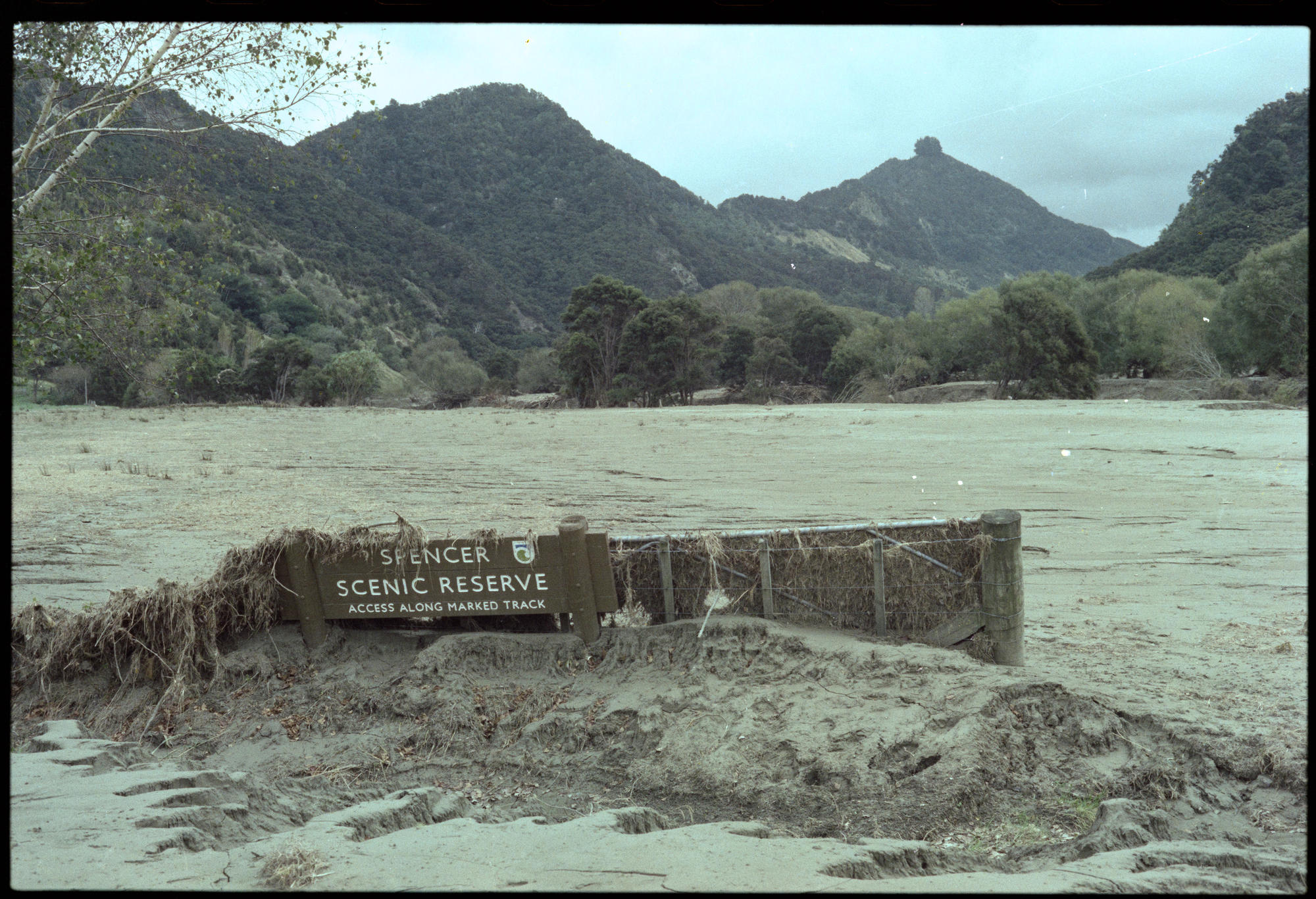 Cyclone Bola: King Spencer Reserve - Tairawhiti Museum