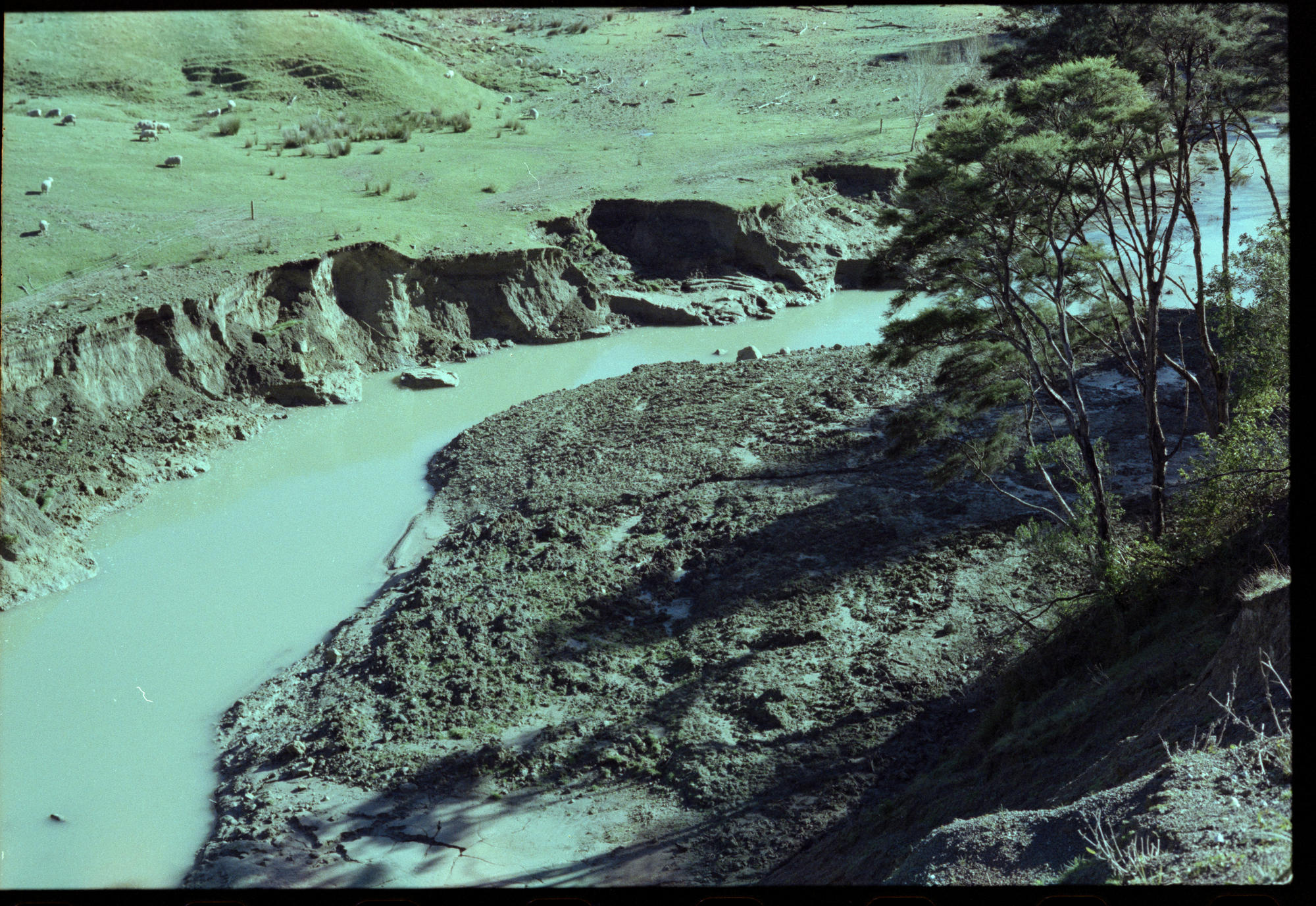 Cyclone Bola: damage on Waimiro - Tairawhiti Museum