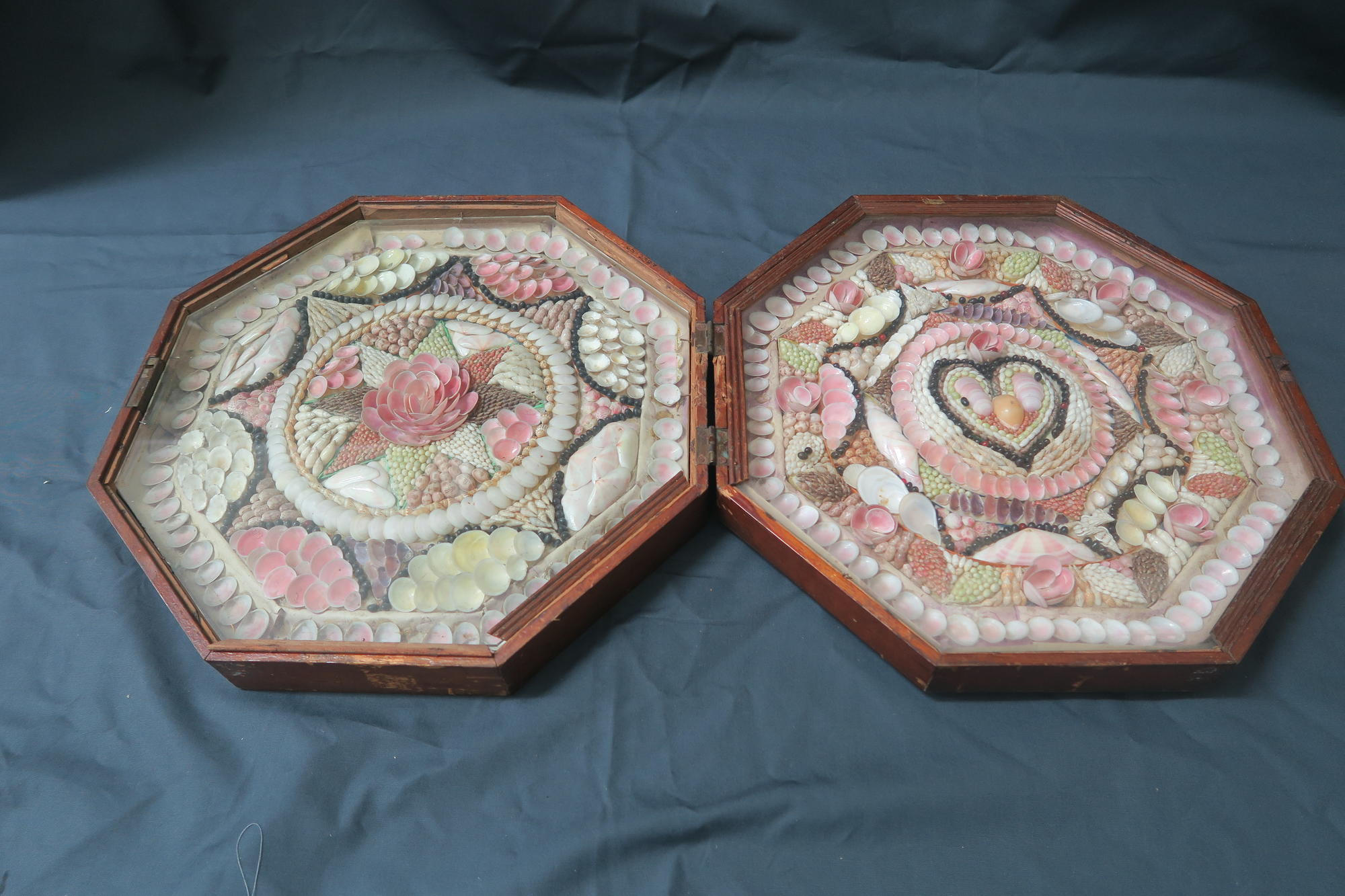 Shell picture - Tairawhiti Museum