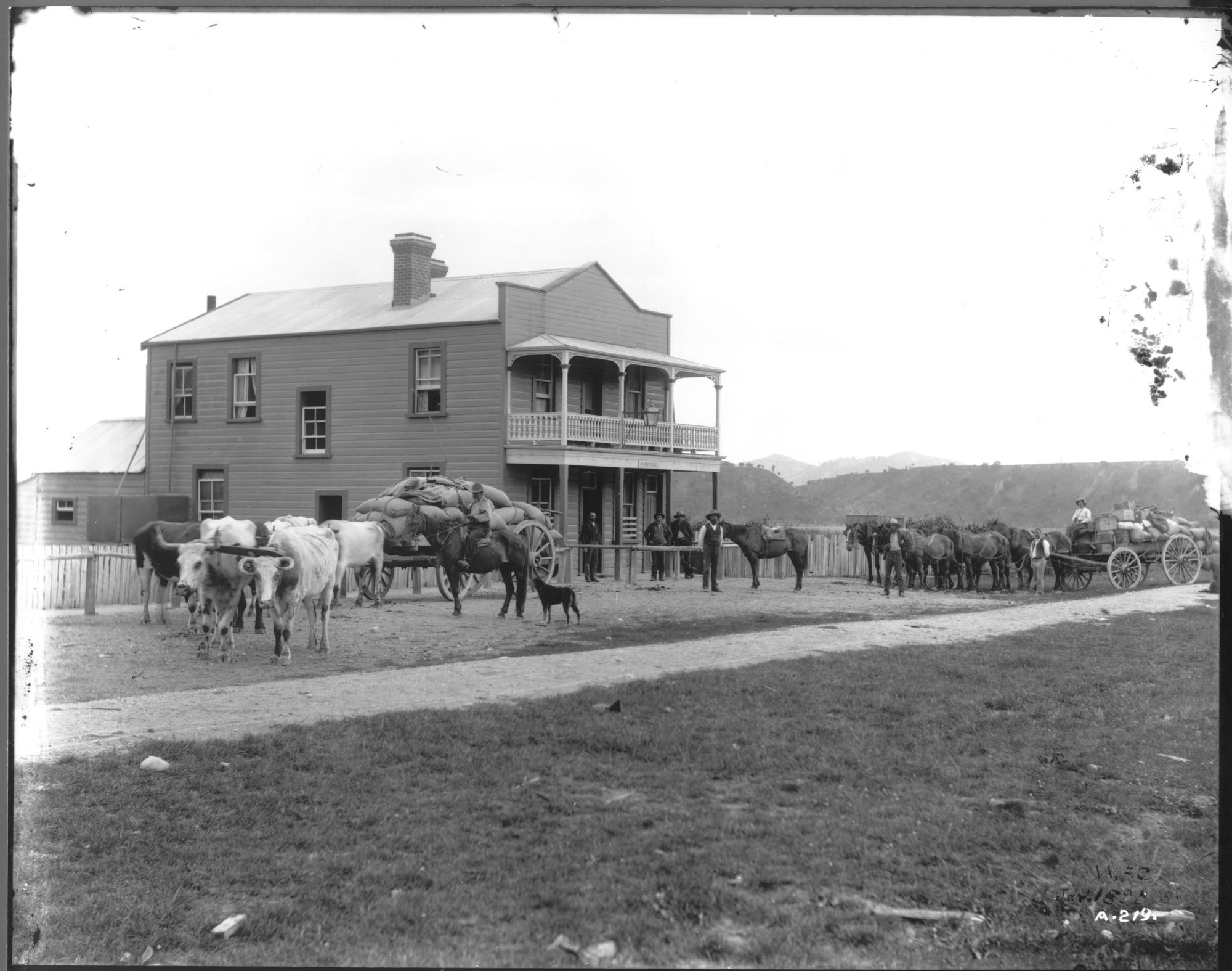 Glass plate negative - Tairawhiti Museum