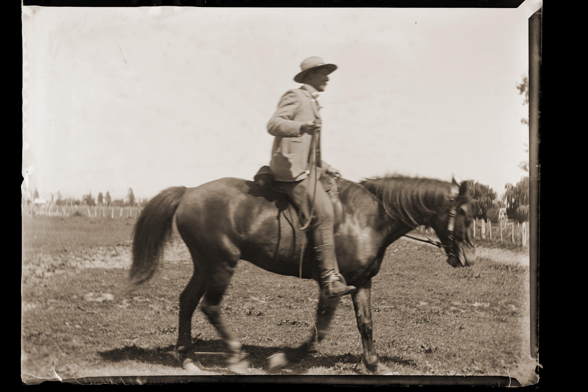 Man on horse - Tairawhiti Museum