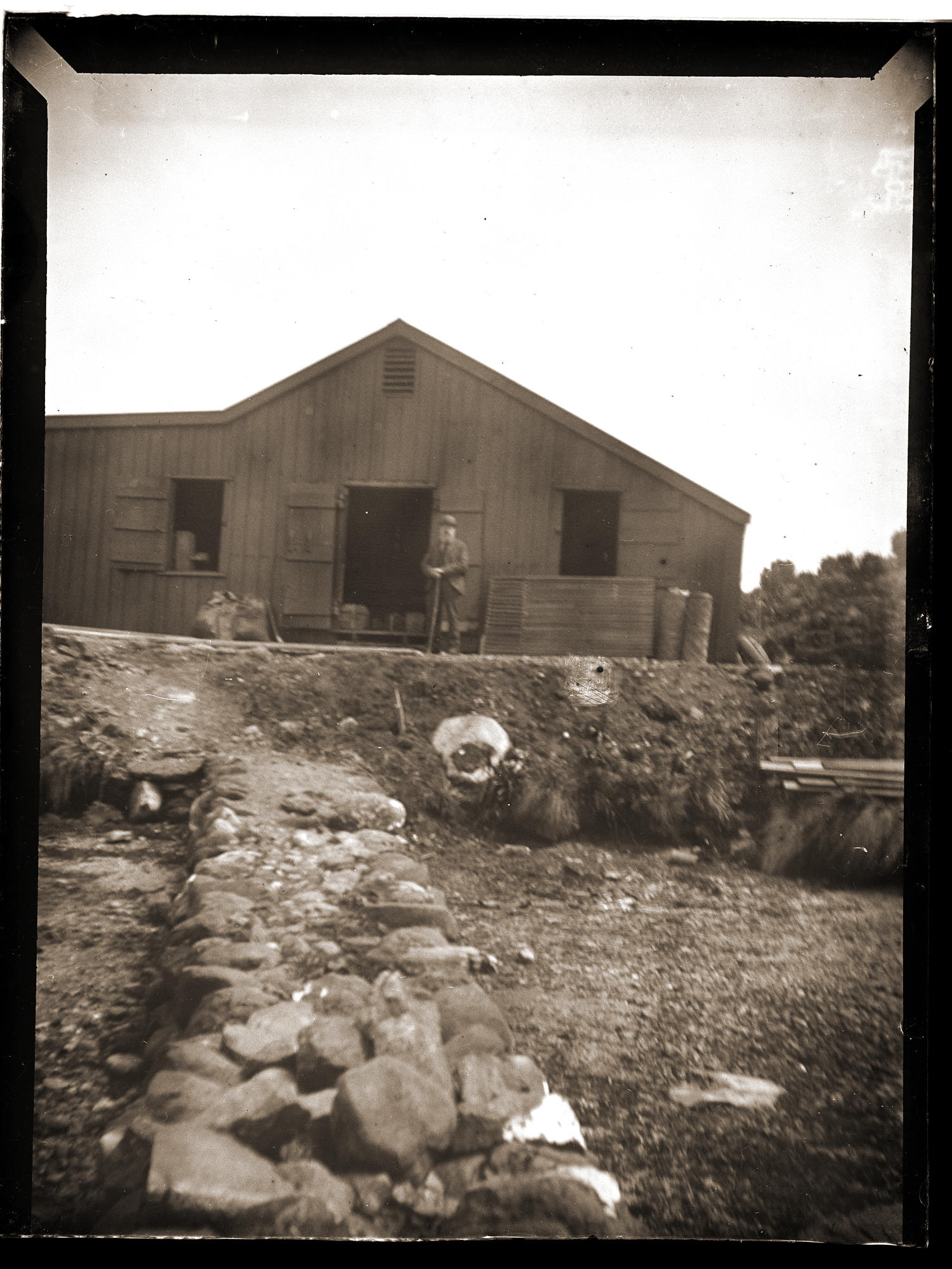Woolshed - Tairawhiti Museum