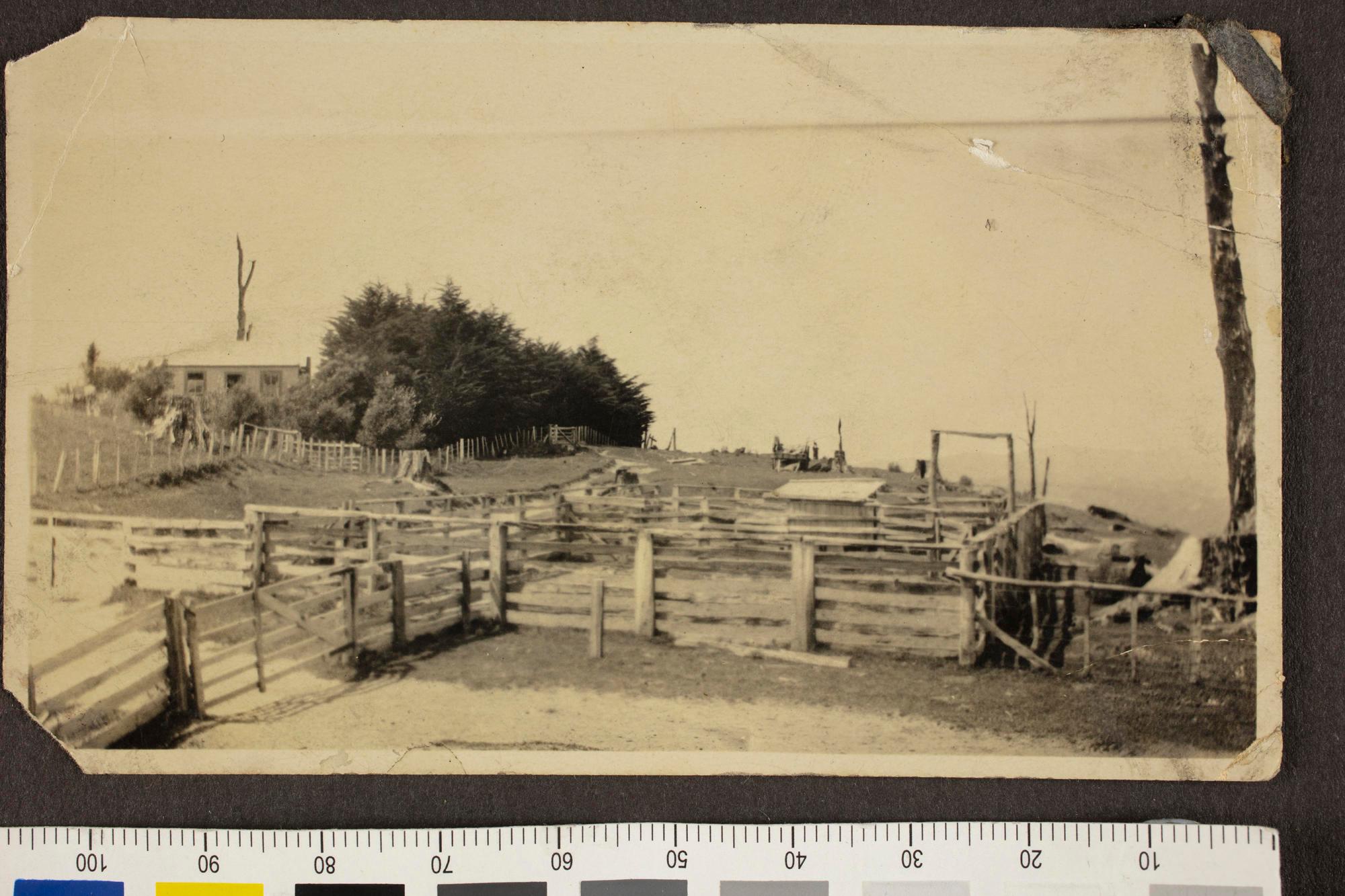 Pamoa Station homestead and cattle yards - Tairawhiti Museum