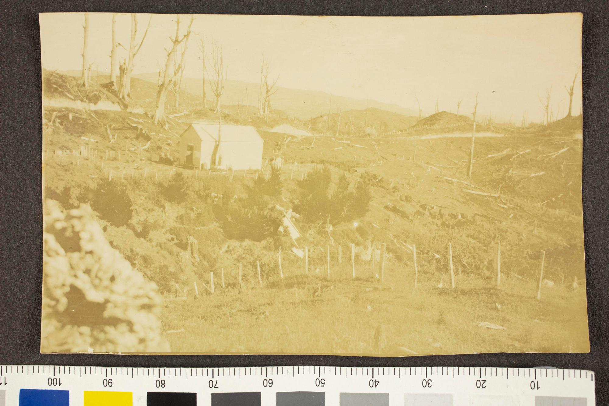 Pamoa Station - Tairawhiti Museum