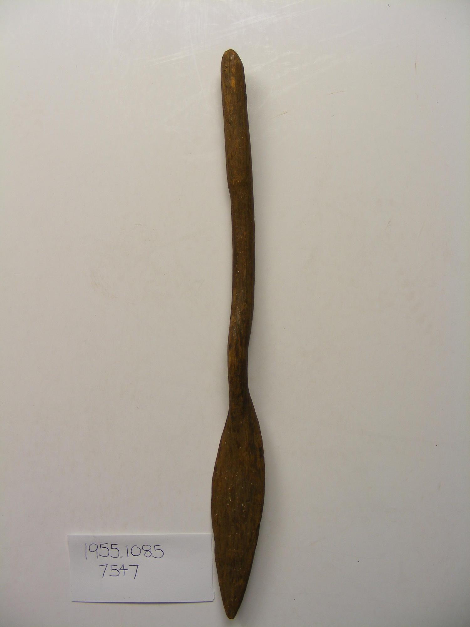 Pinaki - Tairawhiti Museum