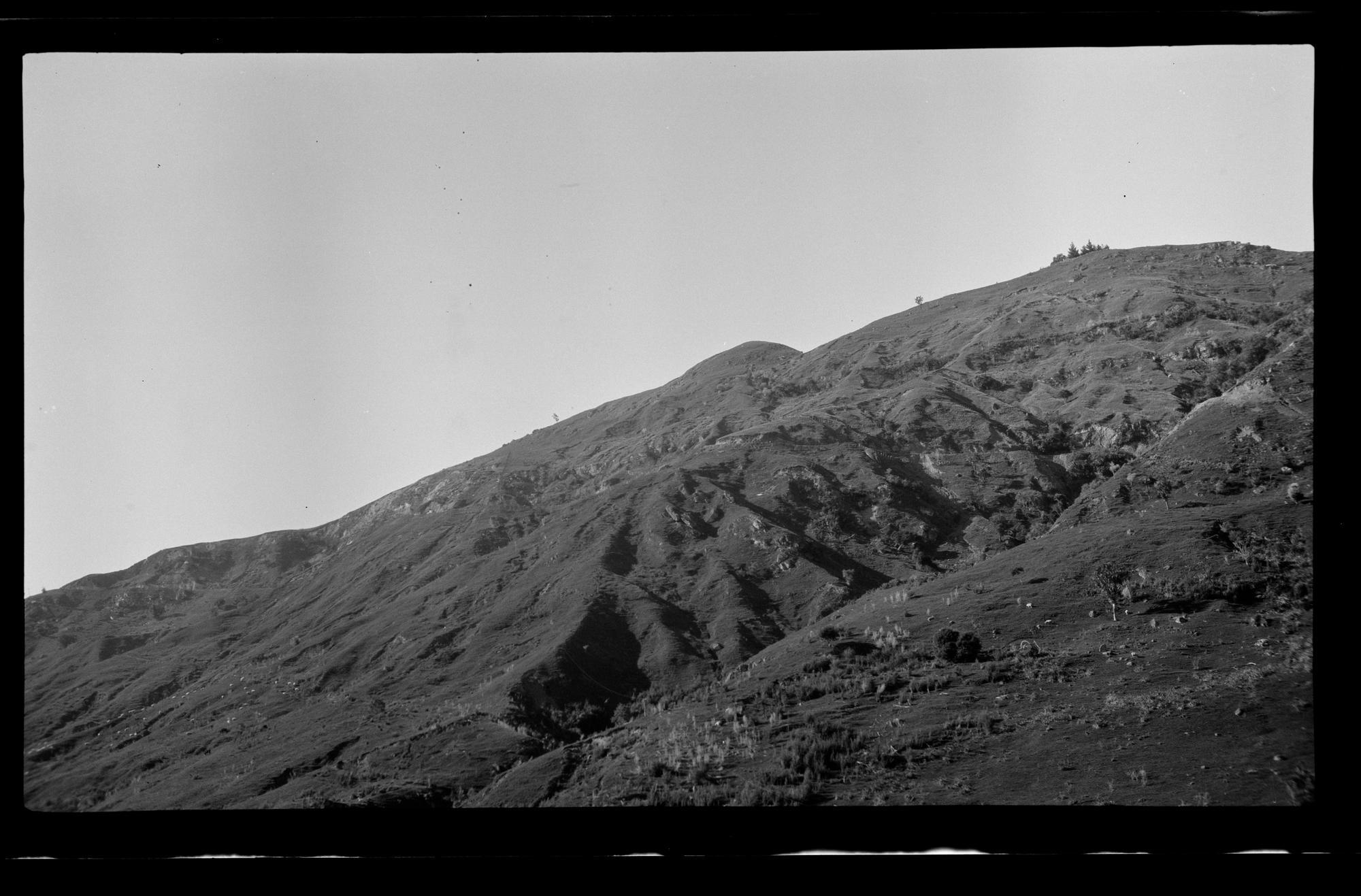 Hill scene - Tairawhiti Museum