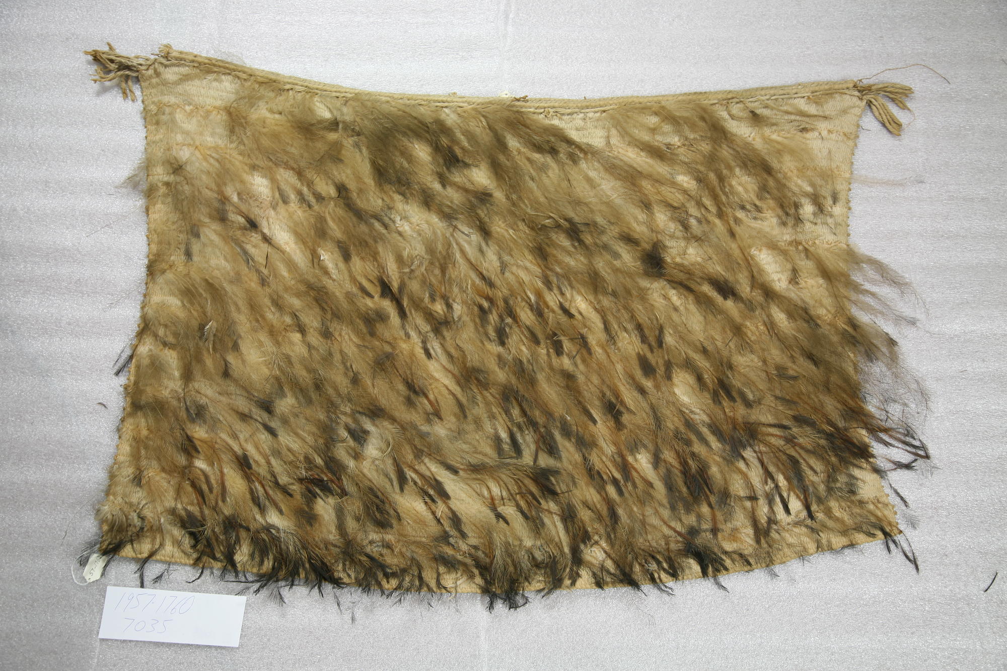 Kahu Huruhuru or Kahu Emu - Tairawhiti Museum