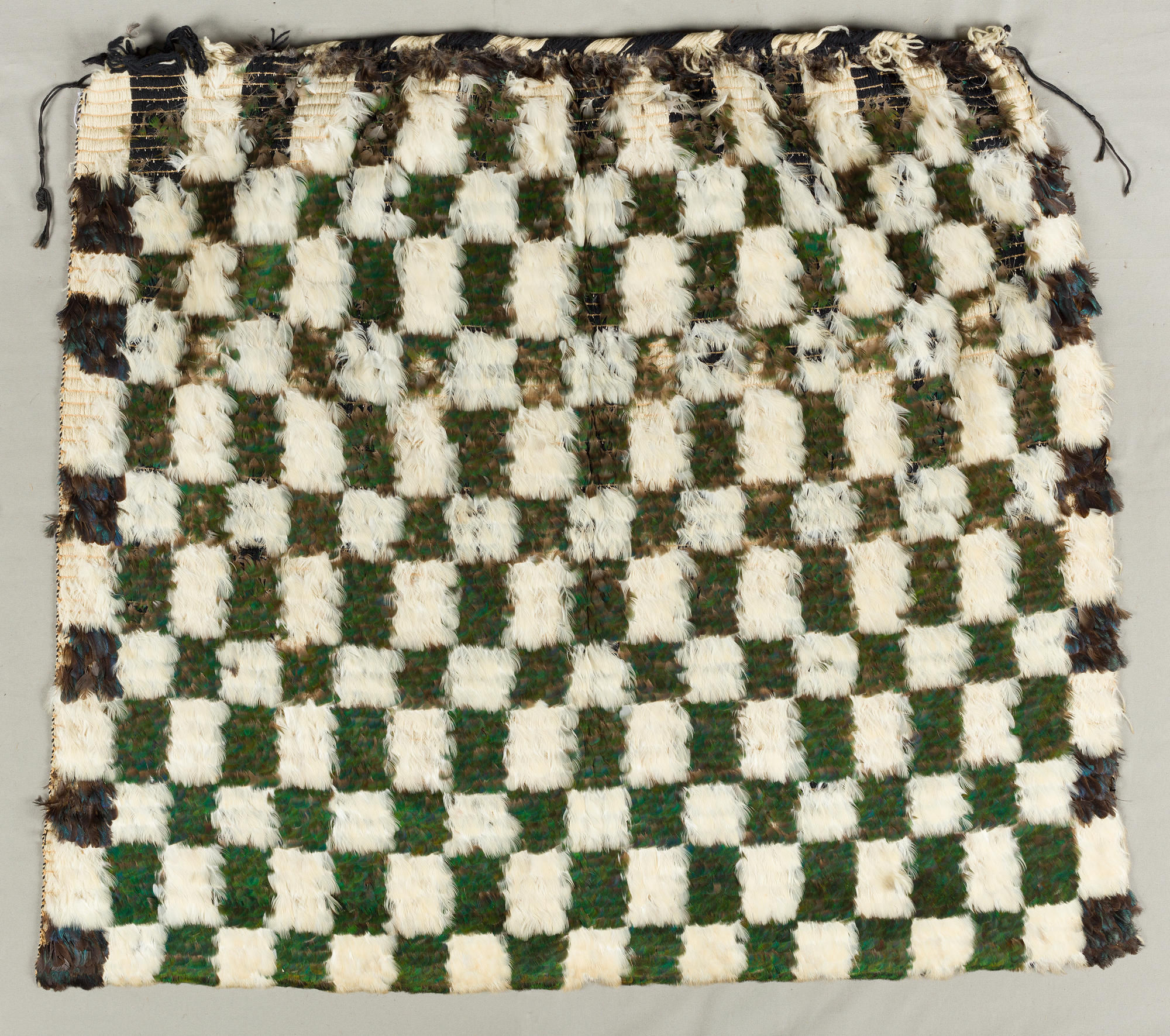 Kahu Kererū - Tairawhiti Museum