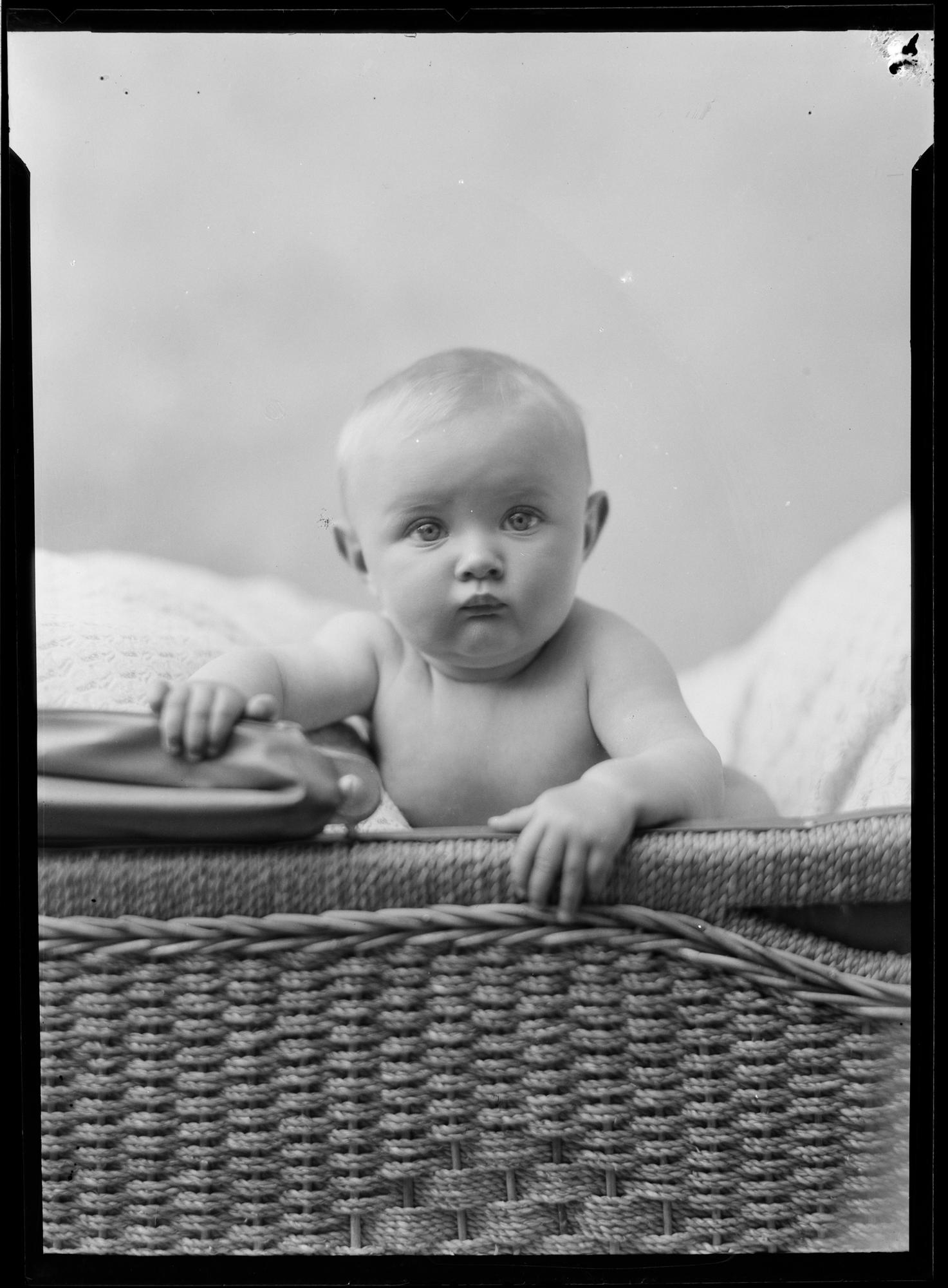 Joy Millard - Tairawhiti Museum